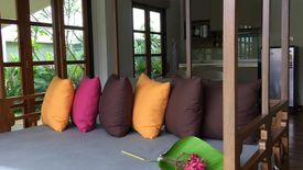 One storey house with one bed for rent in San Sai, Chiang Mai 📌 House for rent in Chiang Mai ...